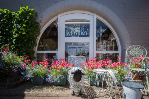 Hatton Camping | Camping at Hatton Country World