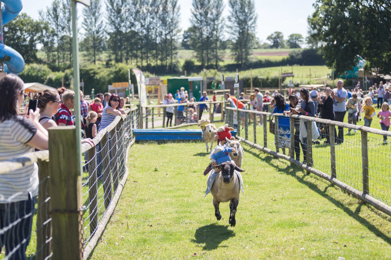 Hatton Camping | Camping at Hatton Country World